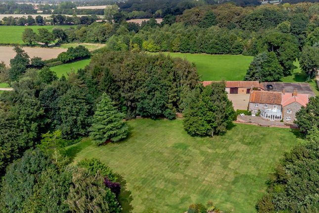 Barningham, Norwich NR11, 5 bedroom detached house for sale - 65553404 ...