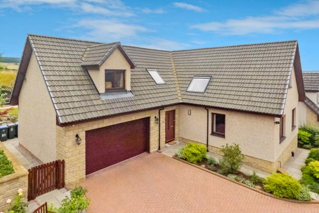 Property for Sale in New Scone - Buy Properties in New Scone - Zoopla