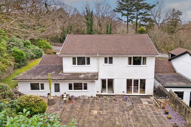 Mayals Road, Blackpill, Swansea SA3, 4 bedroom detached house for sale ...