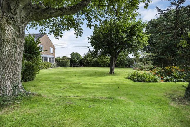 Ibstone, High Wycombe HP14, 5 bedroom detached house for sale ...