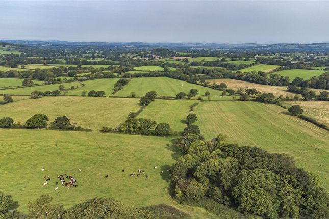 Weymouth, Dorset farms and land for sale - Buy farms and land in ...