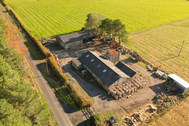 Healey Sawmill, Healey, Riding Mill, Northumberland NE44, land for sale ...