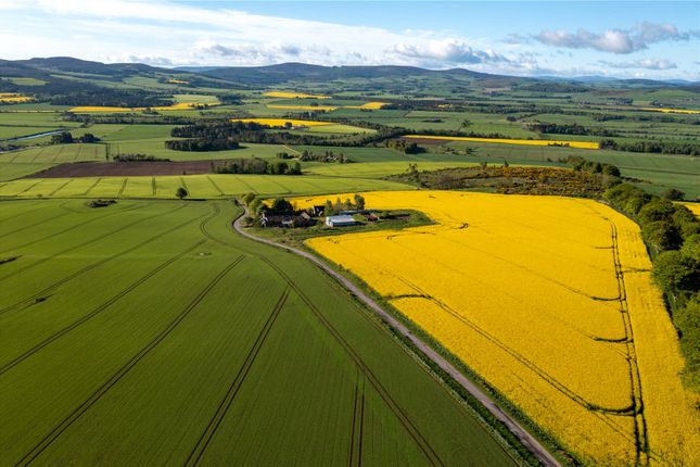 Keig, Alford AB33, land for sale - 61777911 | PrimeLocation