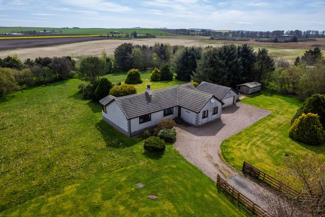 Houses for Sale in Ellon - Ellon Houses to Buy - Primelocation