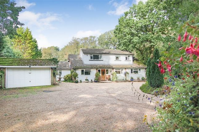 Homes for Sale in Felbridge - Buy Property in Felbridge - Primelocation