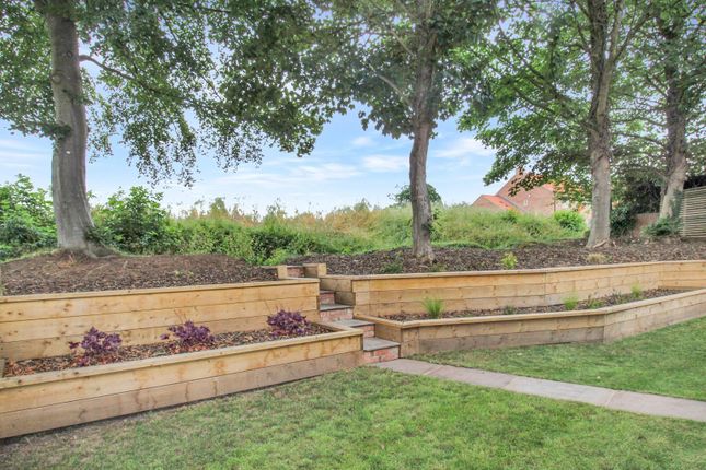 Back Lane, Copt Hewick, Ripon HG4, 4 bedroom detached house for sale ...