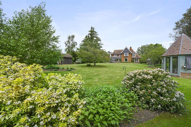 Braiswick, Colchester CO4, 4 bedroom detached house for sale - 61556914 ...