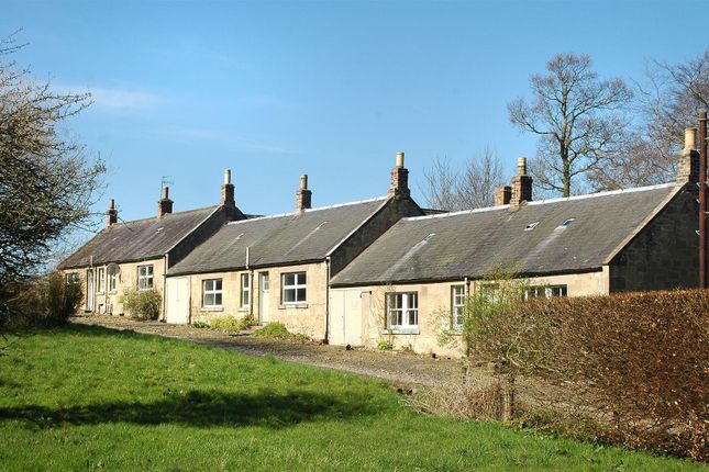 Coldstream TD12, detached house for sale - 46108450 | PrimeLocation