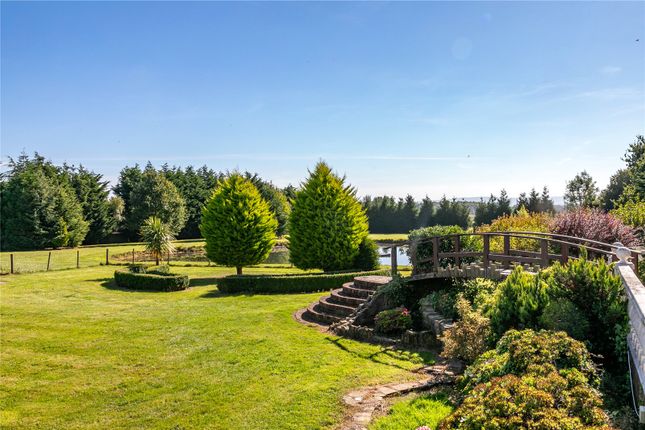 Springwell Farm, Billingham, Cleveland TS22, 4 bedroom equestrian ...