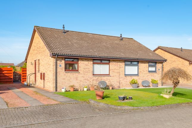 Homes for Sale in Larbert - Buy Property in Larbert - Primelocation