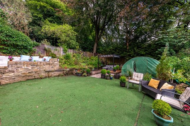 Andrew Lane, Sharples, Bolton BL1, 6 bedroom semi-detached house for ...