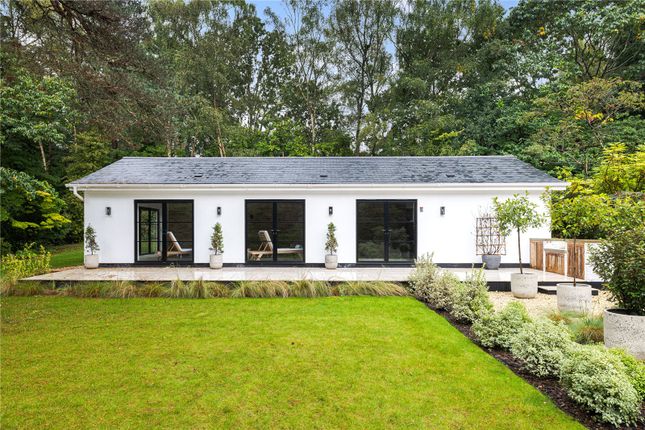 Long Hill, The Sands, Farnham, Surrey GU10, 6 bedroom bungalow for sale ...