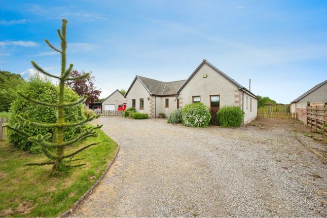 Moray bungalows for sale | Buy houses in Moray | PrimeLocation