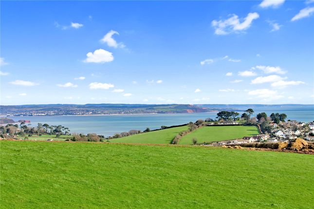 Castle Street, Exeter EX4, 4 bedroom semi-detached house for sale ...