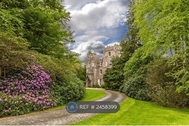 Homes to Let in Angus - Rent Property in Angus - Primelocation