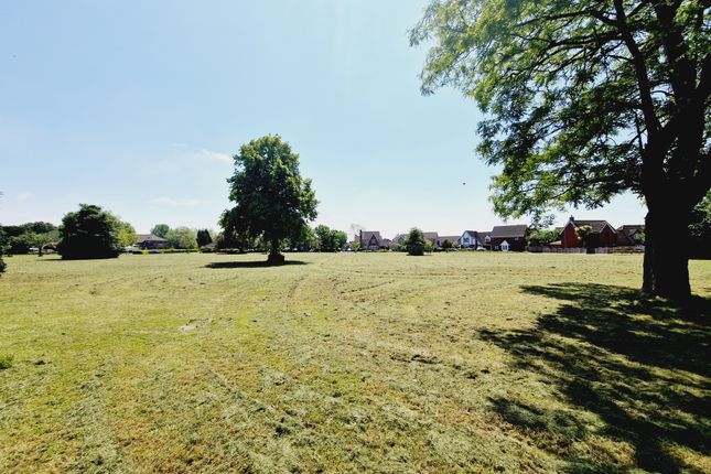 Cherry Tree Drive, South Ockendon RM15, 4 bedroom semi-detached house ...