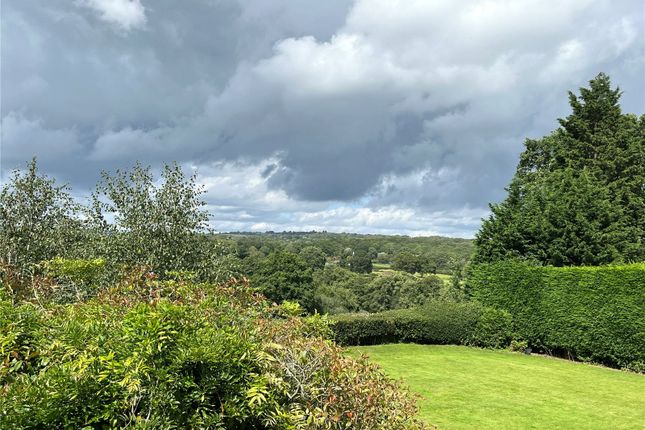 Old Forge Lane Uckfield East Sussex Tn22 Land For Sale 65290543