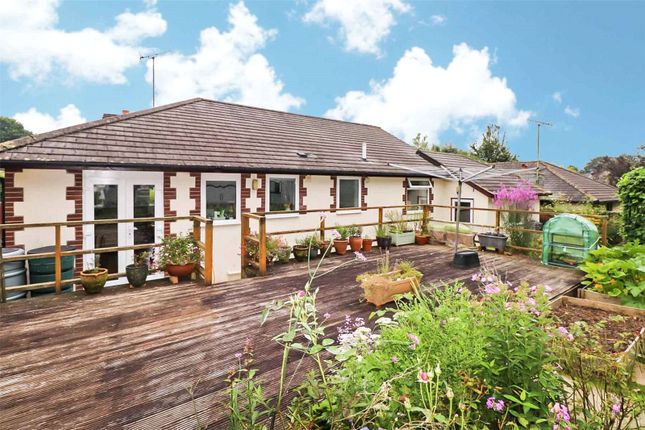 Halwill Junction bungalows for sale | Buy houses in Halwill Junction ...