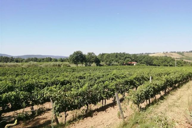 Sorano, Tuscany, Italy, 3 bedroom farmhouse for sale - 69284654 ...