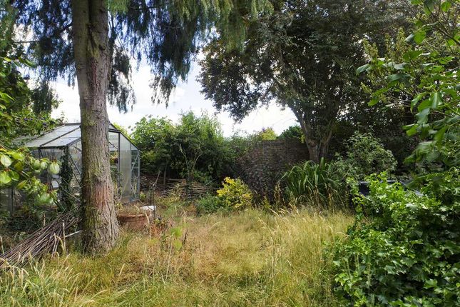 Chandos Court, Martlesham, Woodbridge IP12, 3 bedroom bungalow for sale ...