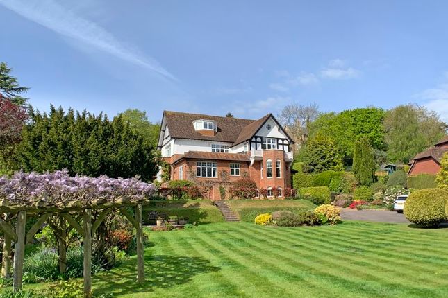 Homes for Sale in East Devon - Buy Property in East Devon - Primelocation
