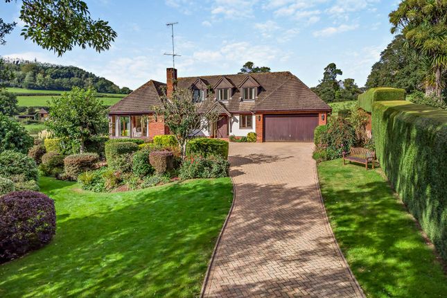 Homes for Sale in Sidmouth - Buy Property in Sidmouth - Primelocation