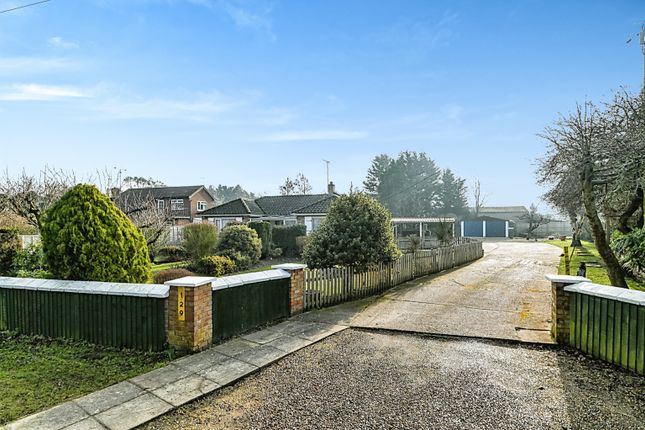 Leziate Drove, Pott Row, King's Lynn, Norfolk PE32, 3 bedroom bungalow ...