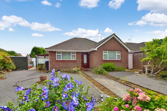 3 bedroom houses to let in Southampton - Primelocation