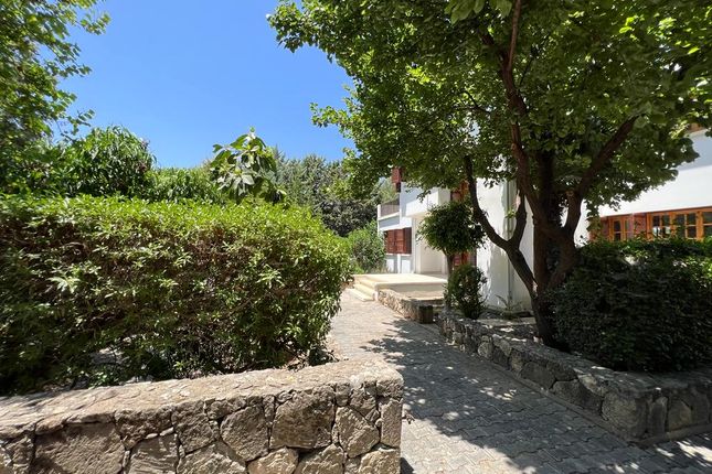 Lapta, Lapithos, Kyrenia, Cyprus, 3 bedroom villa for sale - 65760442 ...