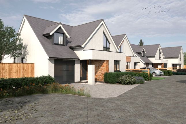 Pebble Lane, Ferring BN12, 3 bedroom detached house for sale - 61285515 ...