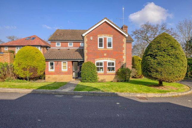 Midsummer Meadow, Caversham Heights, Reading RG4, 4 bedroom detached ...