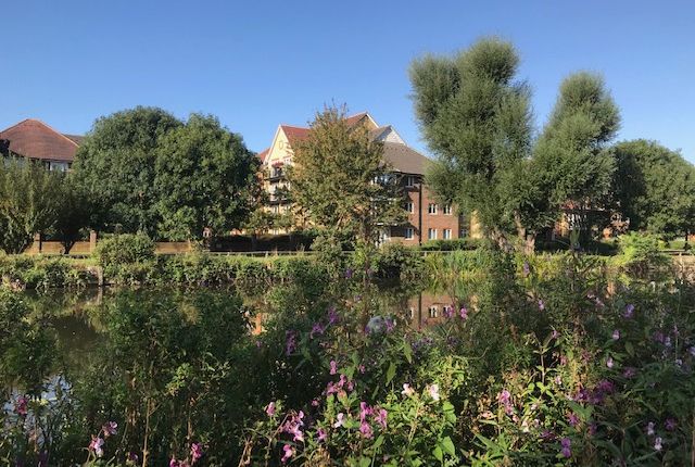 Tumbling Bay Weir, Star Street, Ware SG12, land to rent - 52774575 ...