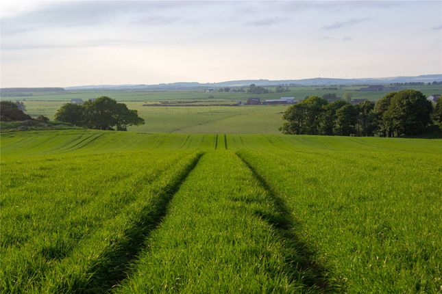 Lot 3 - Field At Foveran, Newburgh, Ellon, Aberdeenshire AB41, land for ...