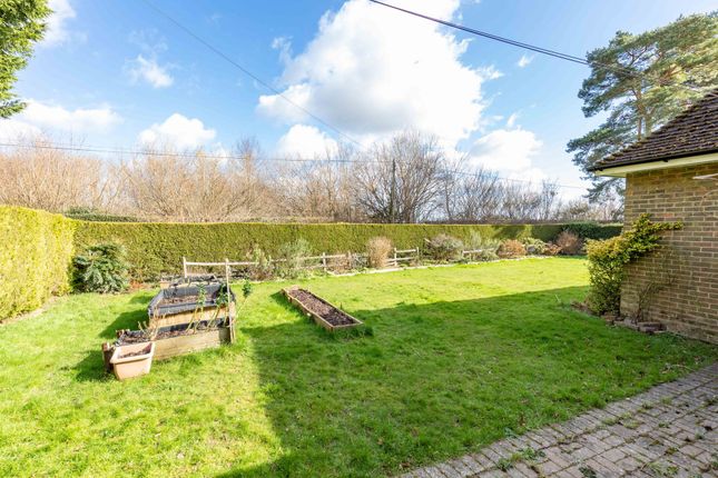Holtye Road, East Grinstead RH19, 5 bedroom detached house for sale ...
