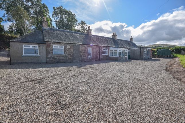 Homes to Let in Angus - Rent Property in Angus - Primelocation