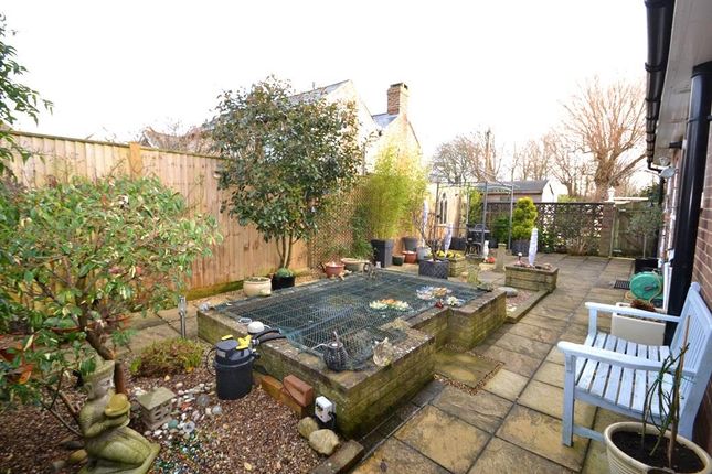 Garden Centre Worthing Ferring | Fasci Garden