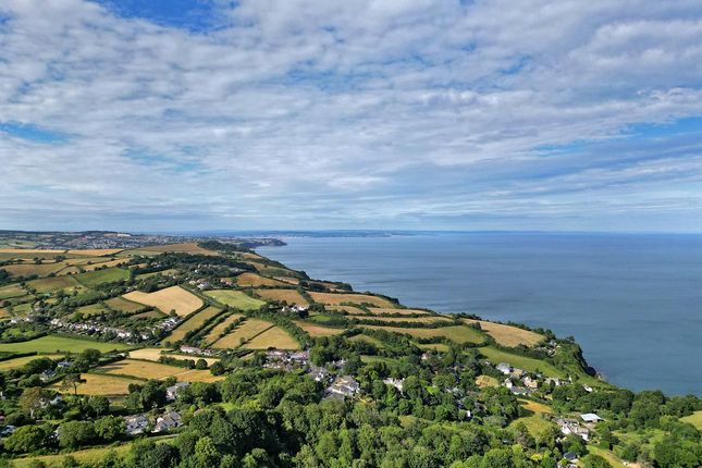 Teignmouth Road, Maidencombe, Torquay TQ1, 4 bedroom detached bungalow ...
