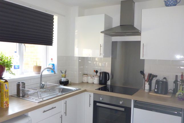 Farm Hill, Exeter EX4, 2 bedroom terraced house to rent - 66445666 ...
