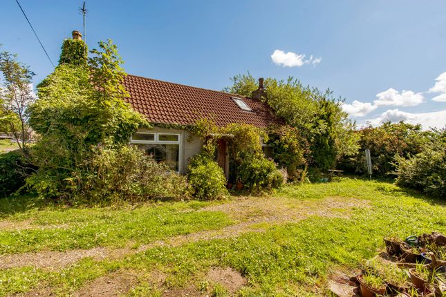 St Andrews Road, Largoward KY9, 2 bedroom detached bungalow for sale ...
