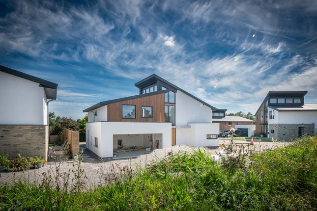 Chilsworthy, Holsworthy EX22, 5 bedroom detached house for sale ...