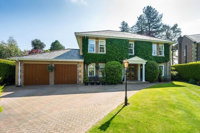 Homes for Sale in Morpeth - Buy Property in Morpeth - Primelocation