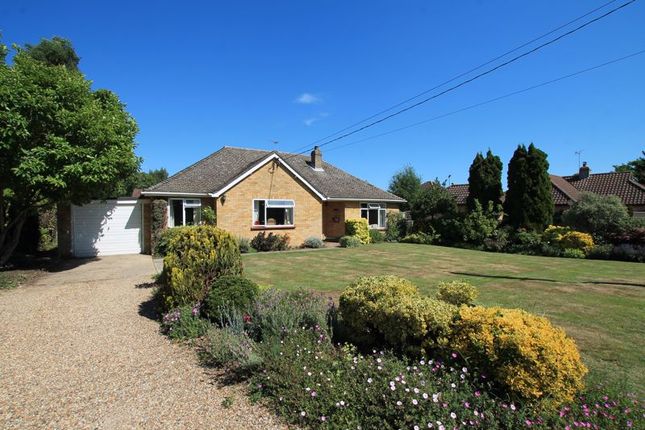 Homes for Sale in Woolpit - Buy Property in Woolpit - Primelocation