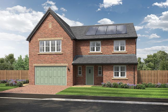 Homes for Sale in Alnwick - Buy Property in Alnwick - Primelocation