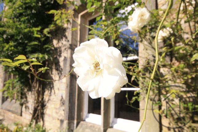 The Manor House, Fir Tree Grange, Howden Le Wear, Crook DL15, 7 bedroom ...