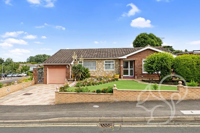 Homes for Sale in Colchester - Buy Property in Colchester - Primelocation