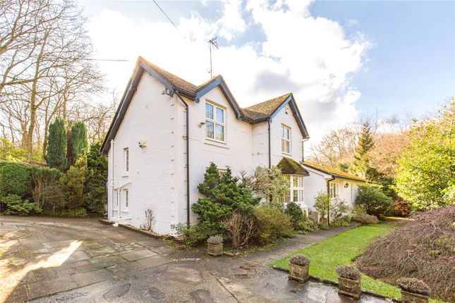 Houses for Sale in Colgate - Colgate Houses to Buy - Primelocation