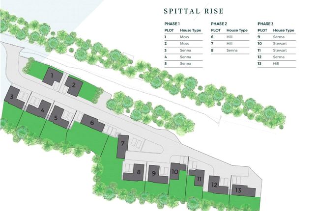 Plot 4 The Senna, Spittal Rise, The Spittal DE74, 5 bedroom detached ...