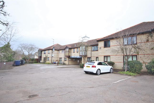 High Street, Longstanton, Cambridge CB24, studio to rent - 66429776 ...