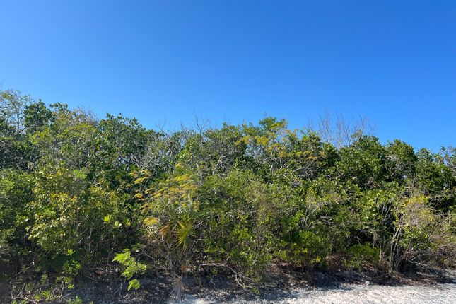 Waterfront Lot: Bahama Sound 18A, The Bahamas, land for sale - 66959627 ...