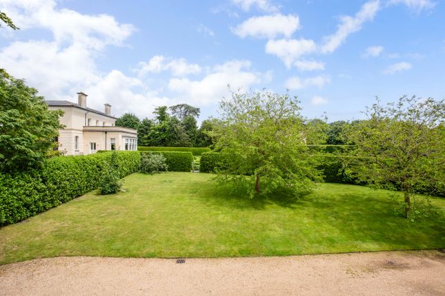 Wallfield Park, Reigate RH2, 5 bedroom detached house for sale ...